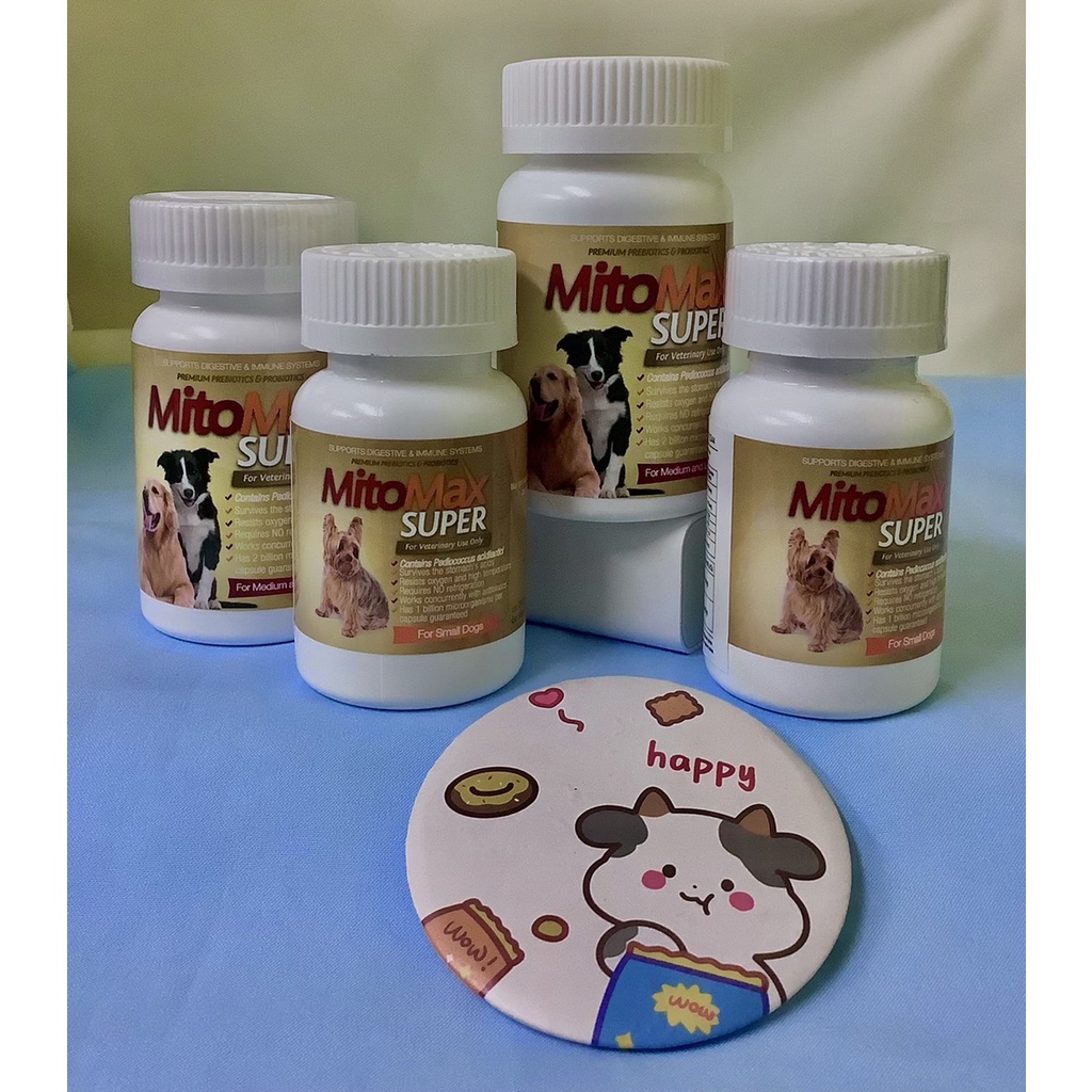 Mitomax super โปรไบโอติก สำหรับสุนัข บรรจุ 30 แคปซูล | Shopee Thailand