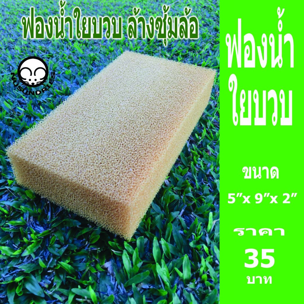 ฟองน้ำใยบวบล้างรถทำความสะอาดซุ่มล้อและยางรถยนต์ synthetic sponge | Shopee Thailand