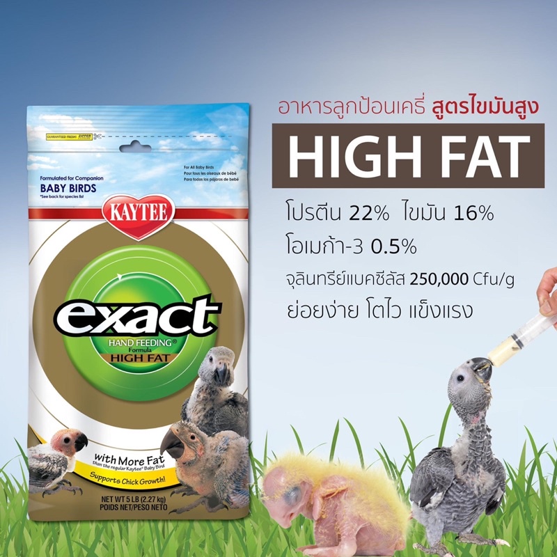 ppetshop พร้อมส่ง️82023 Kaytee Exact High Fat อาหารลูกป้อนเคธี สูตร ...