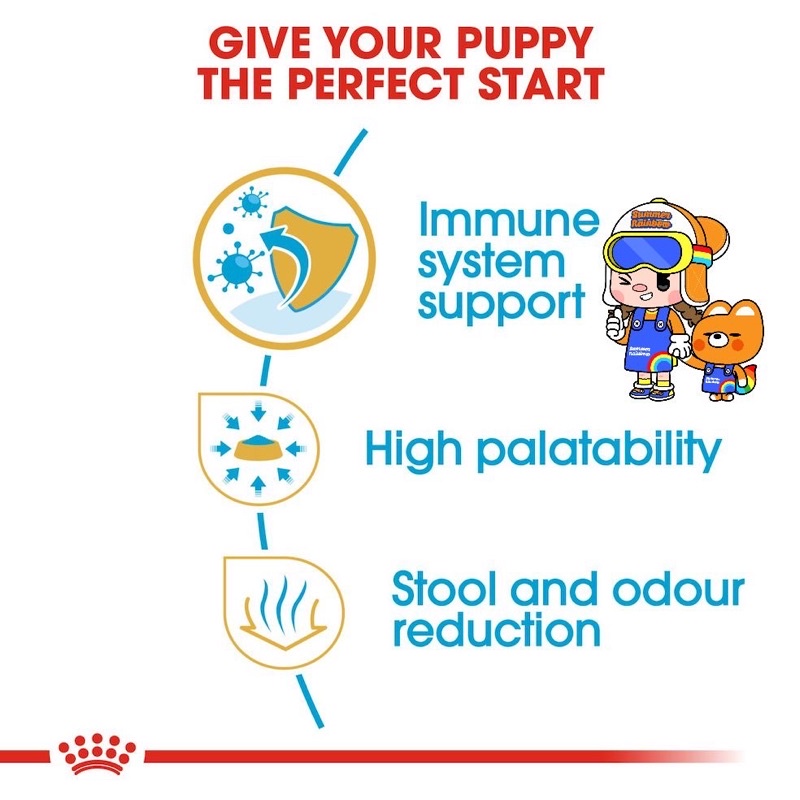 Royal Canin Chihuahua Puppy 1.5kg โรยัลคานิน อาหารเม็ด สำหรับลูกสุนัข ...