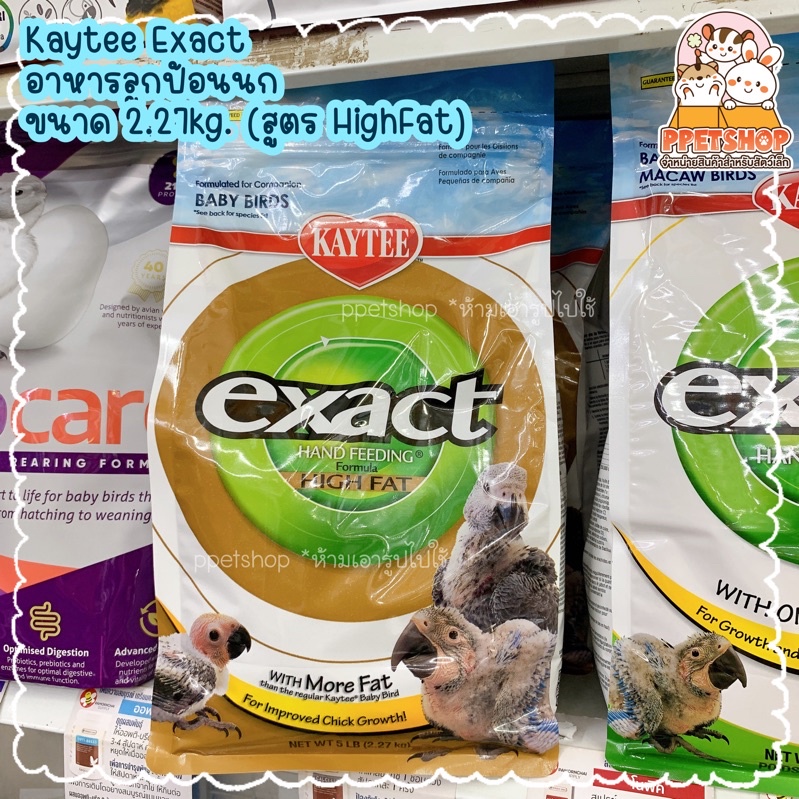 ppetshop พร้อมส่ง‼️[8/2023] Kaytee Exact High Fat อาหารลูกป้อนเคธี สูตร ...