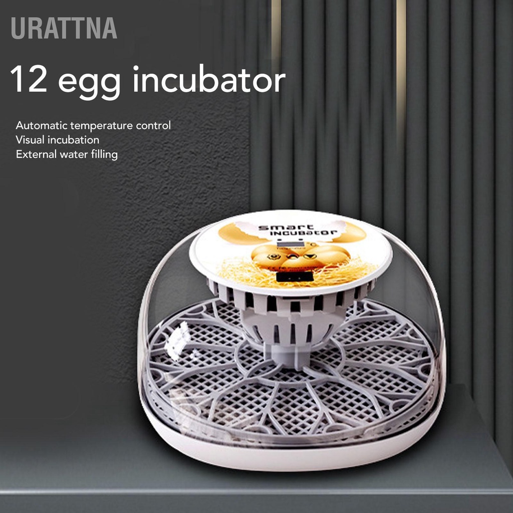 URATTNA Egg Incubator Mini Automatic 12 Hatcher with Fully Transparent ...