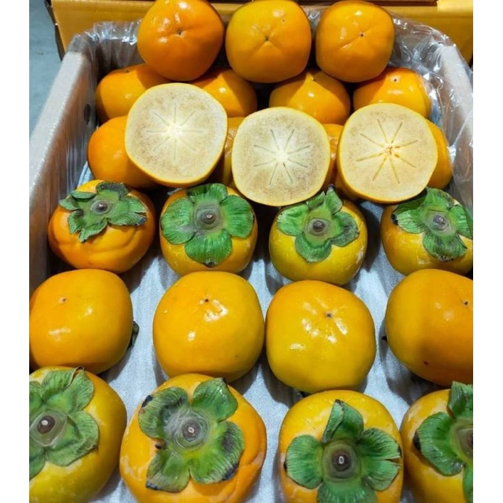 (1ลัง)ลูกพลับสายพันธุ์เกาหลี หวาน กรอบ อร่อย - posh_fruit_shop88 - ThaiPick