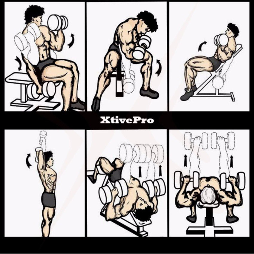 ใช้โค้ดเหลือ 1095 XtivePRO ดัมเบล 20 kg ฟรี ข้อต่อดัมเบล 1030cm พร้อมตัวล็อคพิเศษ 2 ชั้น ยก ...