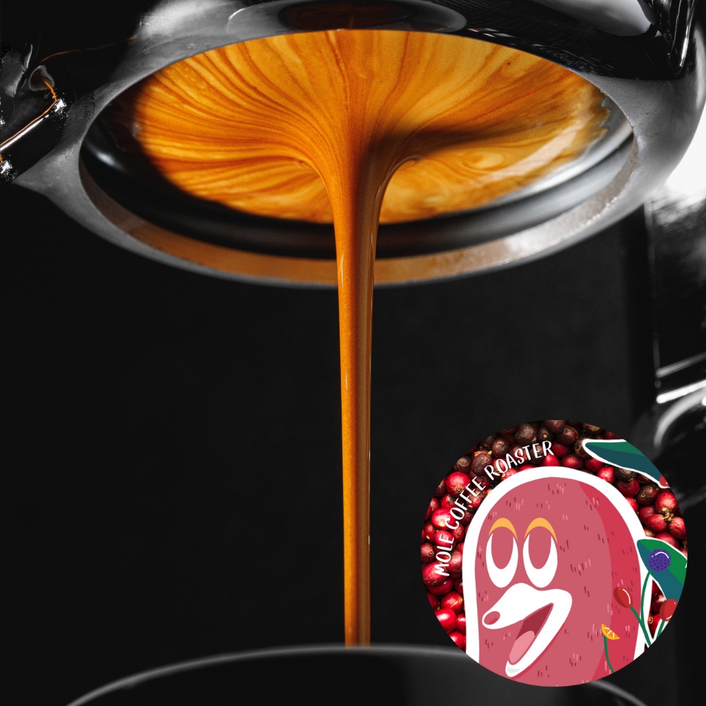 Mole Coffee เมล็ดกาแฟคั่ว เบลน บราซิล ลาว คั่วกลาง ถูก คุ้มค่า ส่งไว ...