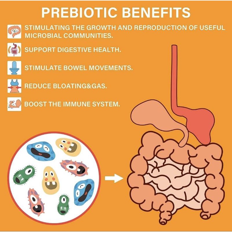 Proriginal Probiotics 100 Billion CFU 60 Capsules - pre4u2 - ThaiPick