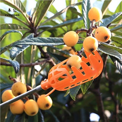 Orchard Fruit Picker Picking Bayrry High-altitude Fruit Picking Tool ...