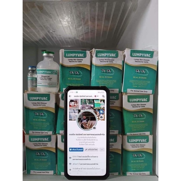 วัคซีนลัมปีสกิน วัคซีนป้องกันโรคลัมปีสกิน วัคซีนวัวควาย Lumpyvax 25 ตัว ...