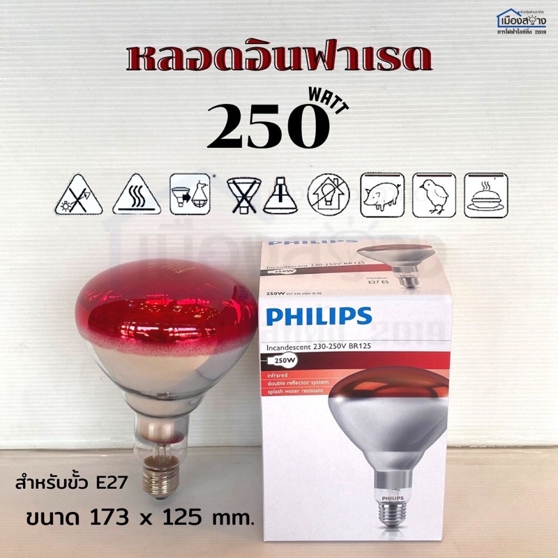 หลอดไฟอิฟาเรด 250w PHILIPS | Shopee Thailand