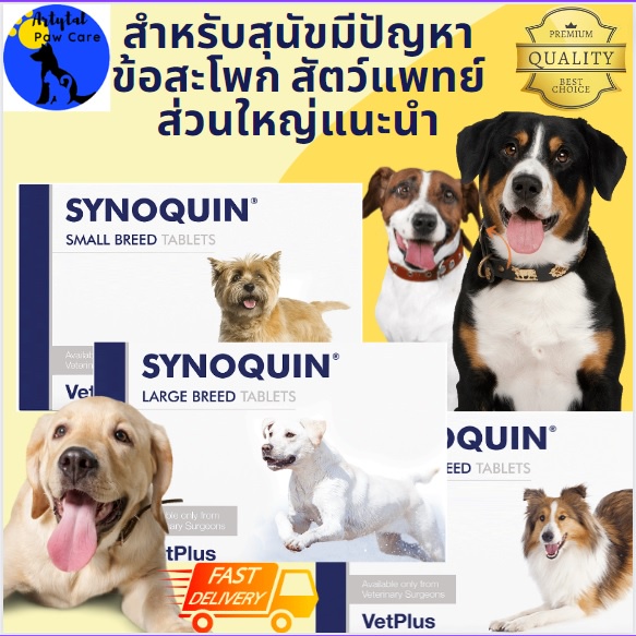 Synoquin Joint for Dogs บำรุงข้อ มีให้เลือกทั้ง Tablets และ Capsule ...