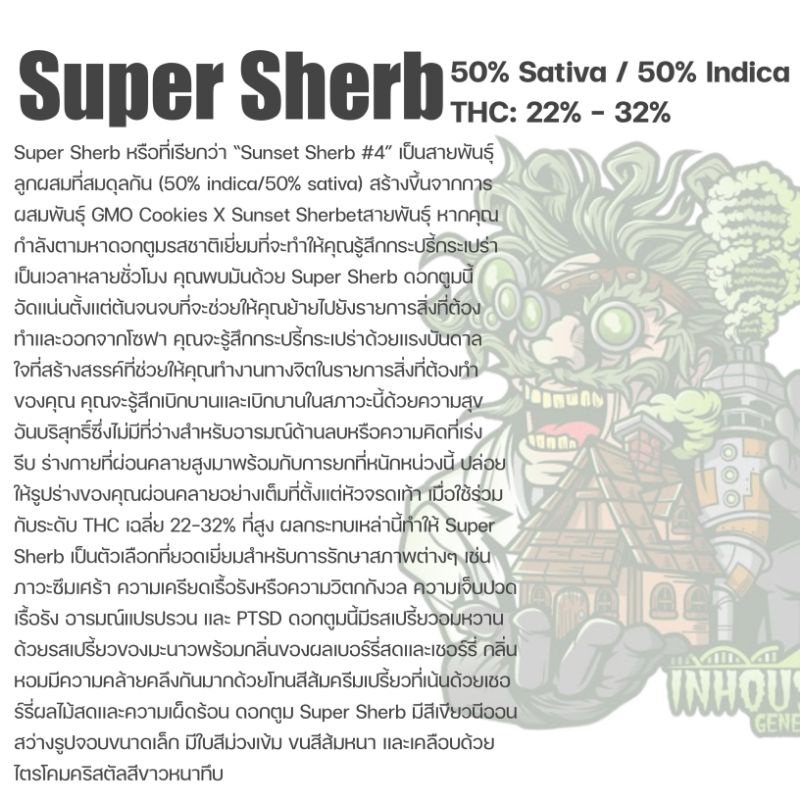 กิ่งชำสายพันธุ์ Super sherb จากค่ายนอก in house Genetics - mafia420soil ...