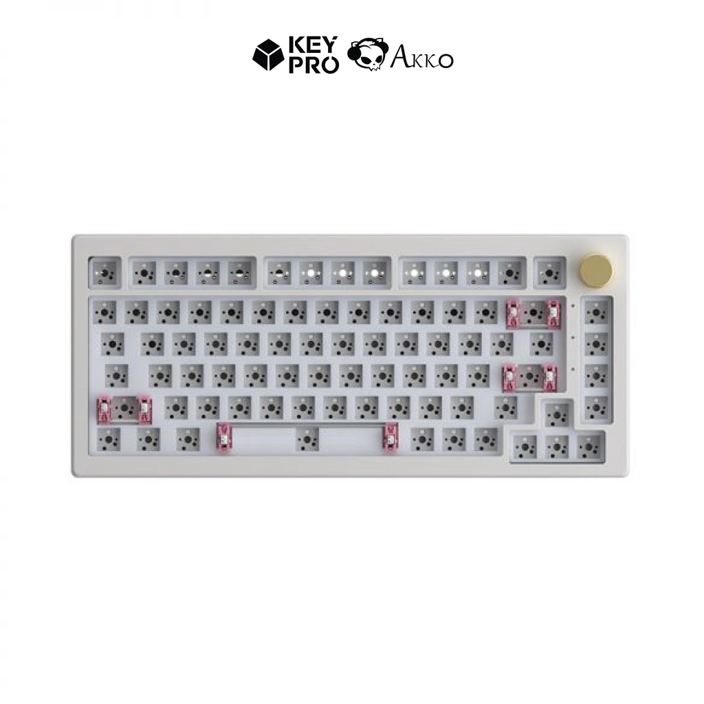คีย์บอร์ด Akko 5075S custom keyboard 4 สี ขนาด 75 RGB Backlit 5-Pin Hotswap Mechanical Keyboard ...