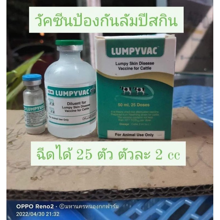 วัคซีนลัมปีสกิน วัคซีนป้องกันโรคลัมปีสกิน วัคซีนวัวควาย Lumpyvax 25 ตัว ...