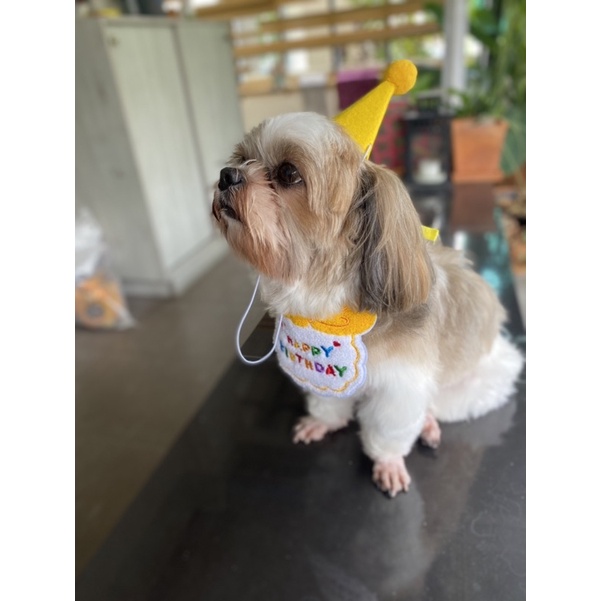 Hbdหมา ถูกที่สุด พร้อมโปรโมชั่น ก.ย. 2023|BigGoเช็คราคาง่ายๆ