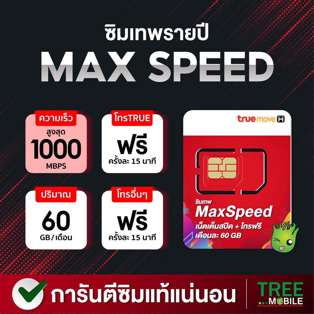 True MaxSpeed ซิมเทพทรู ซิมรายปี Max Speed 60 เน็ตฟรี 60กิ๊กไม่ต้องเติม ...