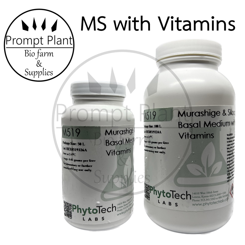 อาหารเพาะเลี้ยงเนื้อเยื่อสูตร MS+Vitamin (Phytotech จาก US และ ...