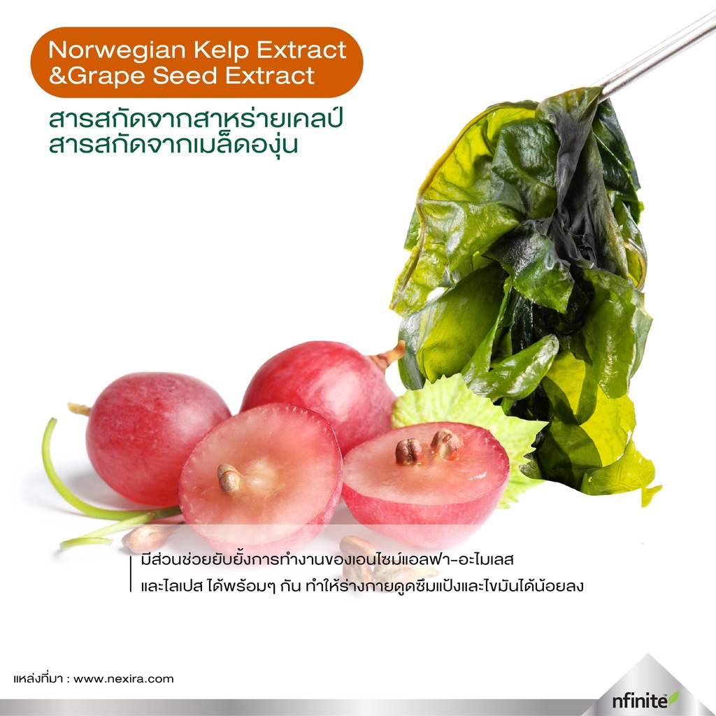 B2A ผลิตภัณฑ์เสริมอาหาร เสิร์ฟก่อนมื้ออาหาร (สินค้าราคาพิเศษ ขออนุญาตแกพ QR code) - velvet ...