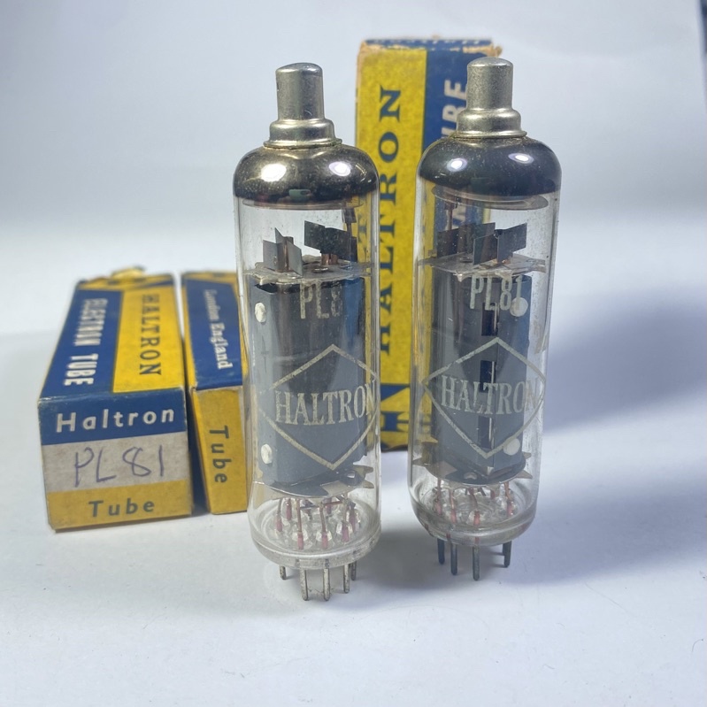 หลอดแอมป์ PL81 Haltron สามารถ DIY แอมป์หลอดได้ | Shopee Thailand
