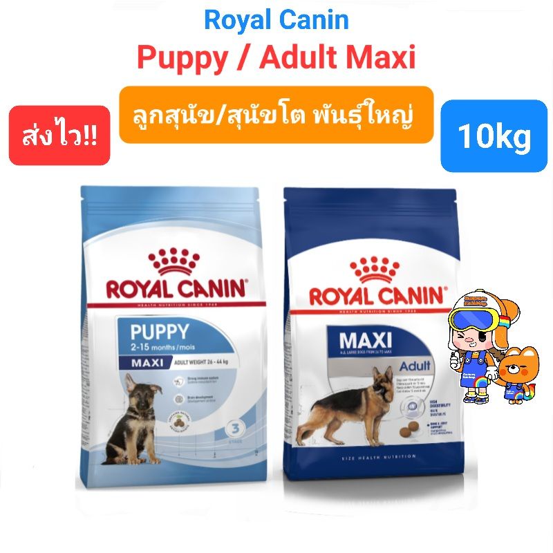 Royal Canin Maxi Adult 10kg Maxi Puppy 10kg รอยัลคานิน สุนัขพันธุ์ใหญ่ ...
