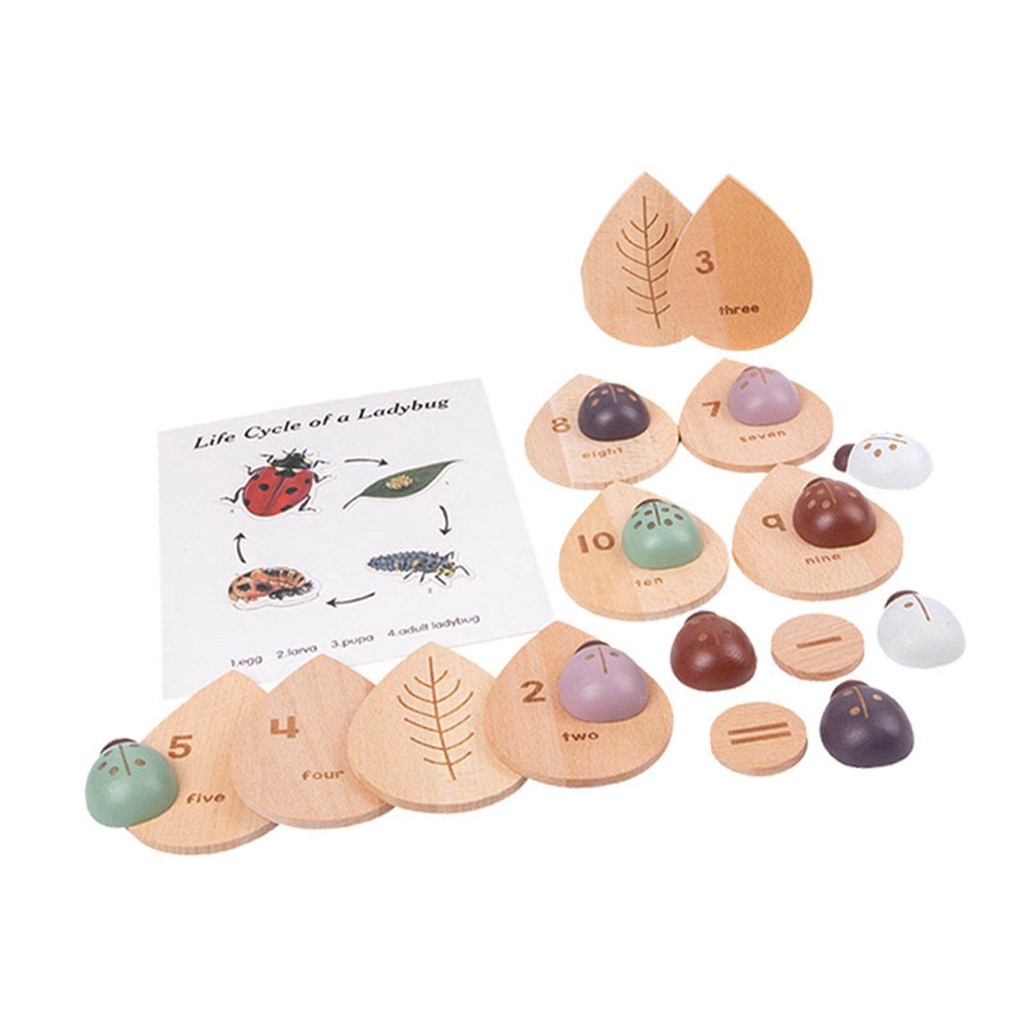 lahomia Math Toys Ladybugs Number Matching Souptoys Development Toys ...