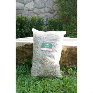 wildloft, ร้านค้าออนไลน์ | Shopee Thailand