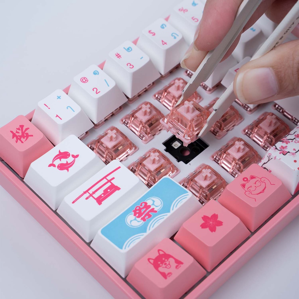 คีย์บอร์ด AKKO รุ่น 3061S RGB Hotswap World Tour Tokyo R2 ขนาด 60 ...