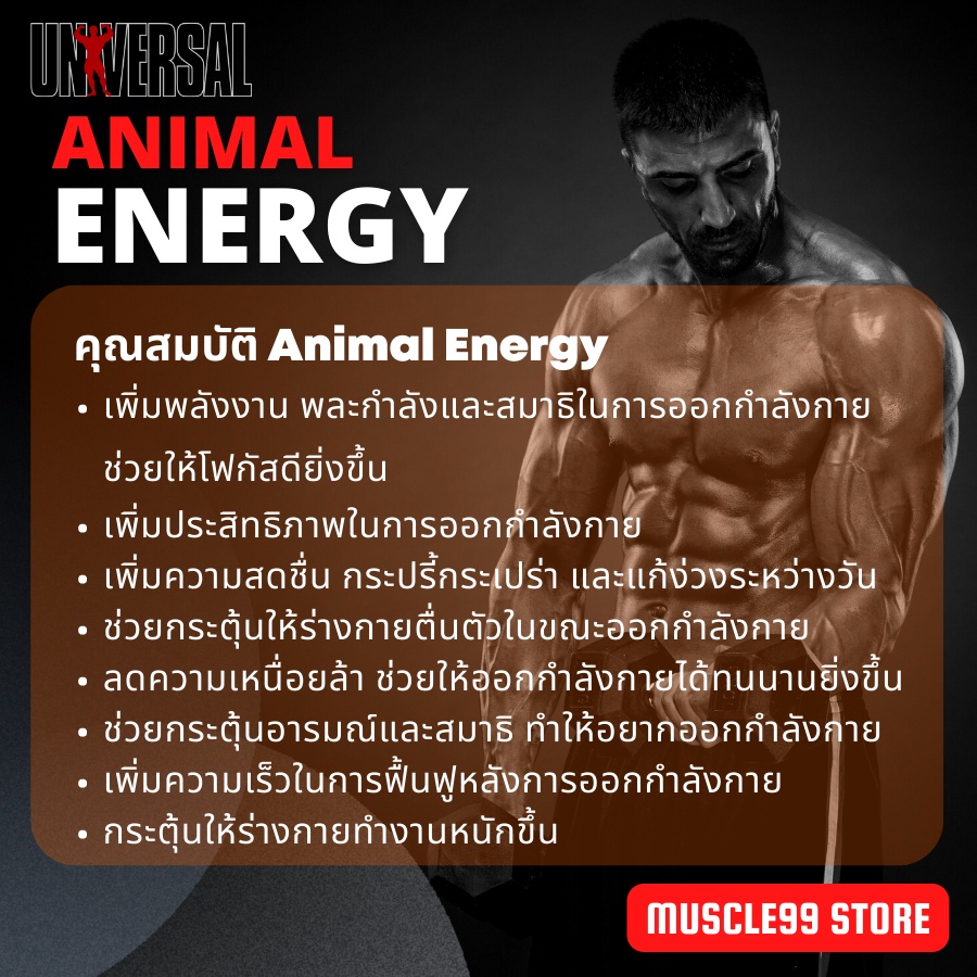UNIVERSAL NUTRITION Animal Energy เพิ่มแรงก่อนออกกำลังกาย(60 แคปซูล)(มี ...