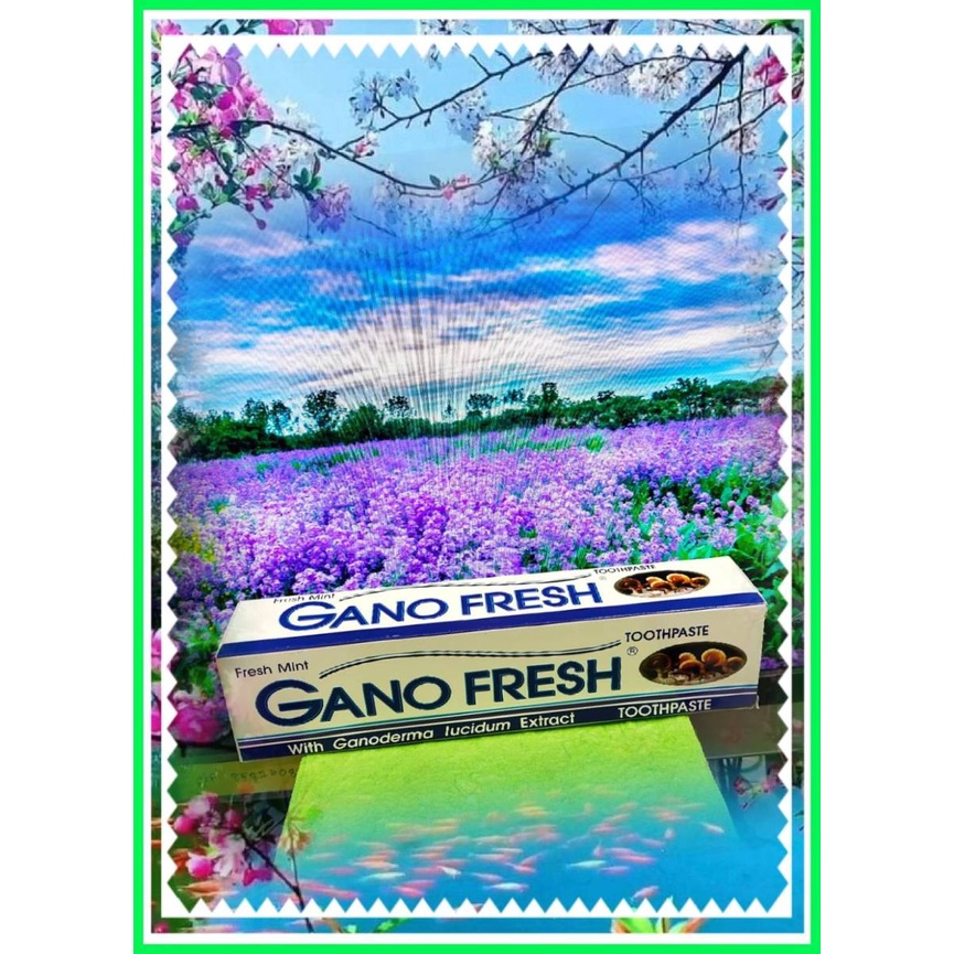กาโนเฟร็ช GANO FRESH by Gano Excel ผสมเห็ดหลินจือ น้ำหนักสุทธิ 150 กรัม ...