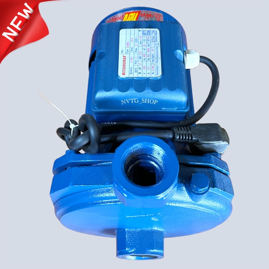 ปั๊มน้ำ 1 นิ้ว 1 HP รุ่น SCM60 ส่งไกล ปั้มไฟฟ้า Italy ของแท้ ปั๊มหอย ...