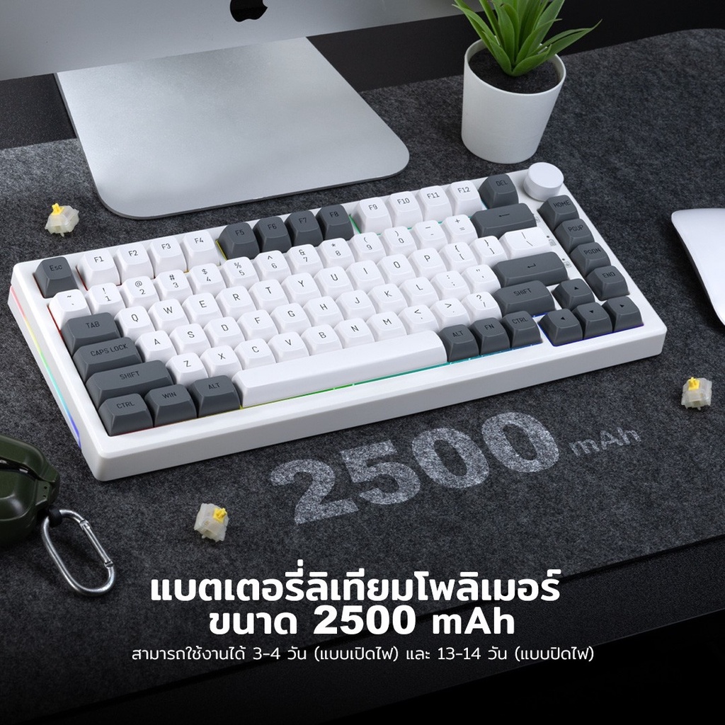 ของพร้อมส่งคีย์บอร์ด EGA Saru KX-75 Wireless Mechanical Keyboard (EN ...
