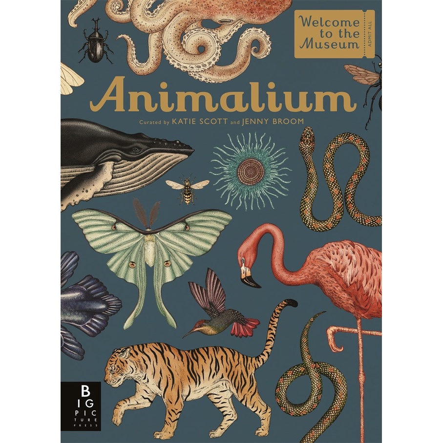Animalium ถูกที่สุด พร้อมโปรโมชั่น ม.ค. 2026 | BigGoเช็คราคาง่ายๆ