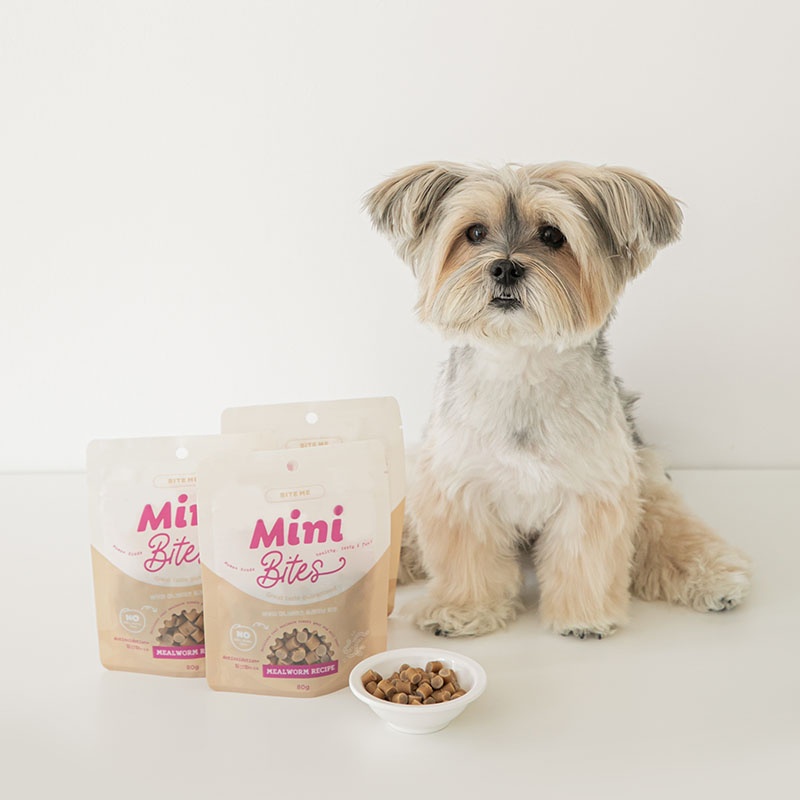 Bite Me Mini Bites Traning Treats - Mealworm ขนมสำหรับฝึกสุนัข นำเข้า ...