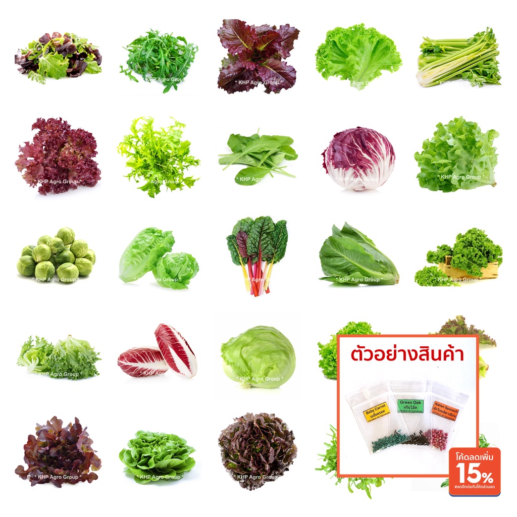 เมนูผักหวาน ราคาพิเศษ | ซื้อออนไลน์ที่ Shopee ส่งฟรี*ทั่วไทย!