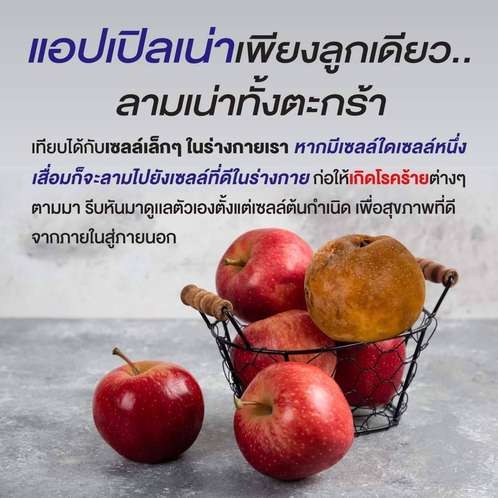 Autophile By แอนทองประสม บำรุง ฟื้นฟูเซลล์ ป้องกันโรคร้าย ชะลอวัย ลด ...