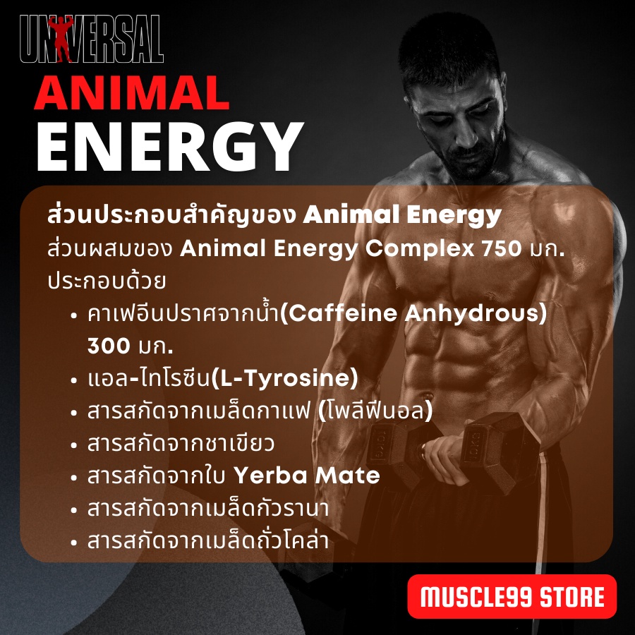 UNIVERSAL NUTRITION Animal Energy เพิ่มแรงก่อนออกกำลังกาย(60 แคปซูล)(มี ...