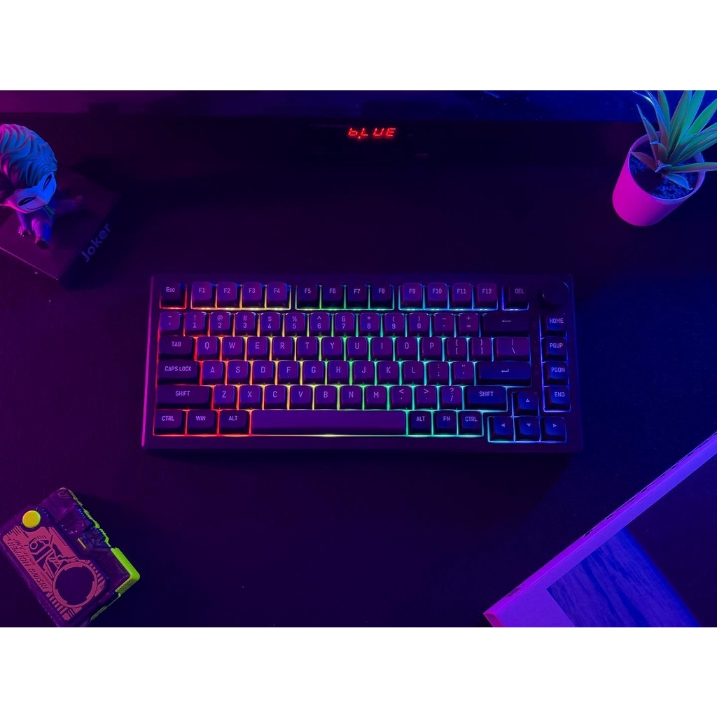 ของพร้อมส่งคีย์บอร์ด EGA Saru KX-75 Wireless Mechanical Keyboard (EN ...