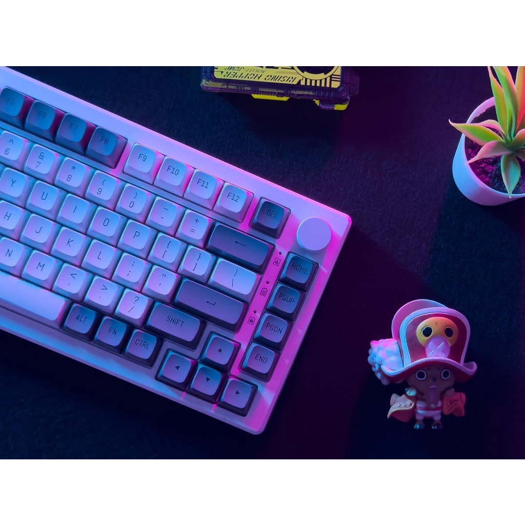 ของพร้อมส่งคีย์บอร์ด EGA Saru KX-75 Wireless Mechanical Keyboard (EN ...