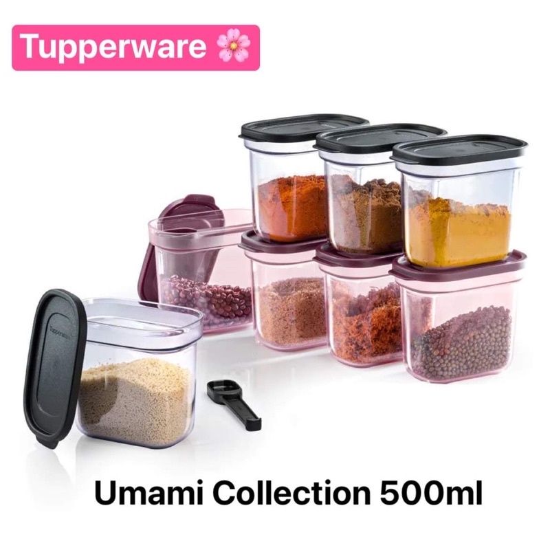 Tupperware รุ่น Umami Collection 500ml | Shopee Thailand