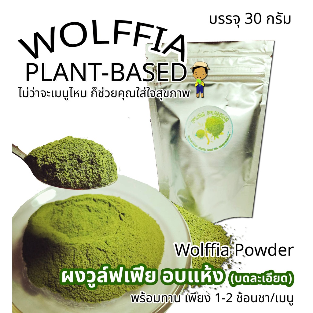 Wolffia ถูกที่สุด พร้อมโปรโมชั่น ม.ค. 2023|BigGoเช็คราคาง่ายๆ