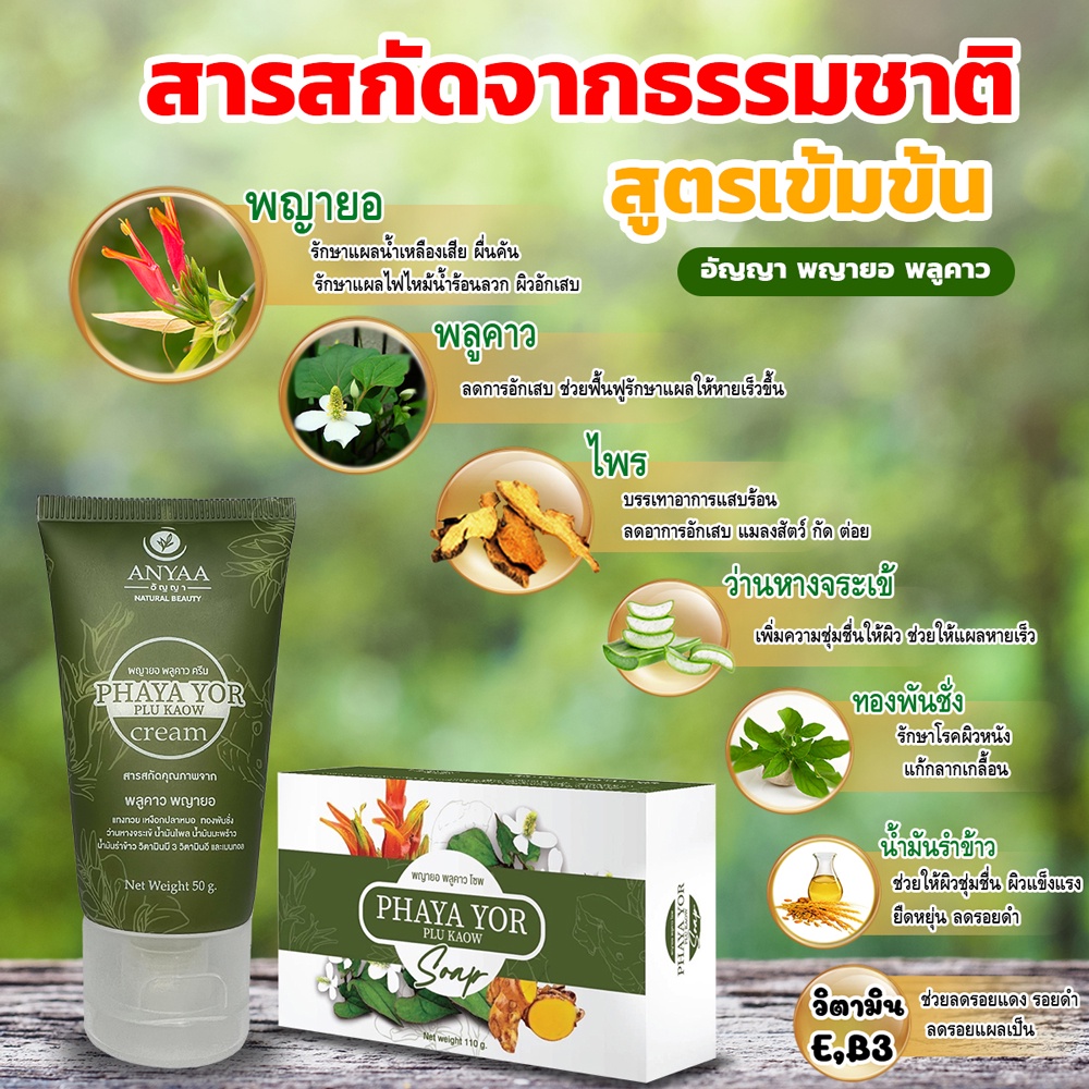 [ส่งฟรีของแท้100%] ครีม Anyaa อัญญา พญายอ พลูคาว ครีมรักษาผิวหนัง เชื้อ ...