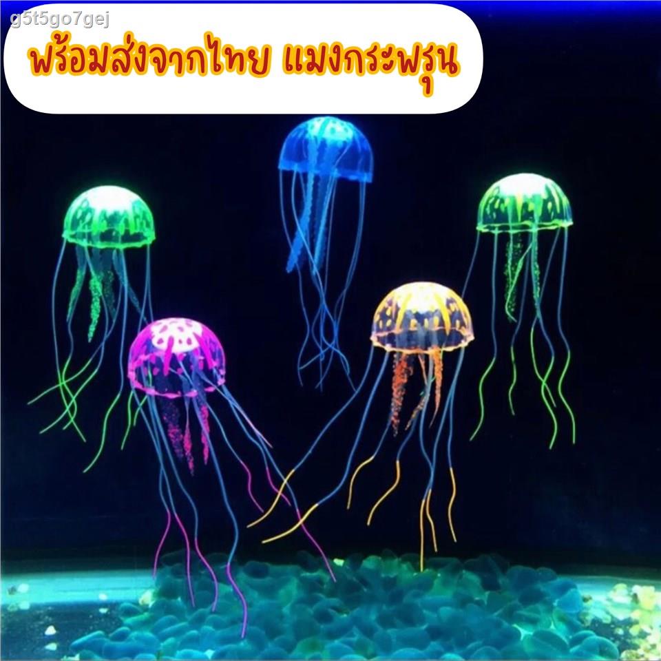 ตู้แมงกระพรุนปลอม ถูกที่สุด พร้อมโปรโมชั่น มี.ค. 2023|BigGoเช็คราคาง่ายๆ