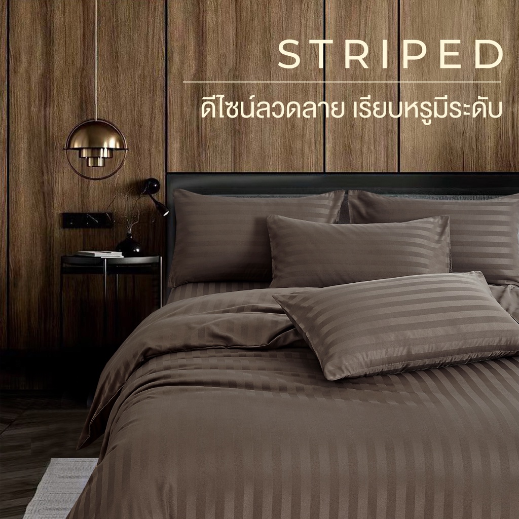 ibed ชุดผ้าปูที่นอนครบเซ็ท Softex Satin (ลายริ้ว) Brown Sugar 3.5 ฟุต5 ...