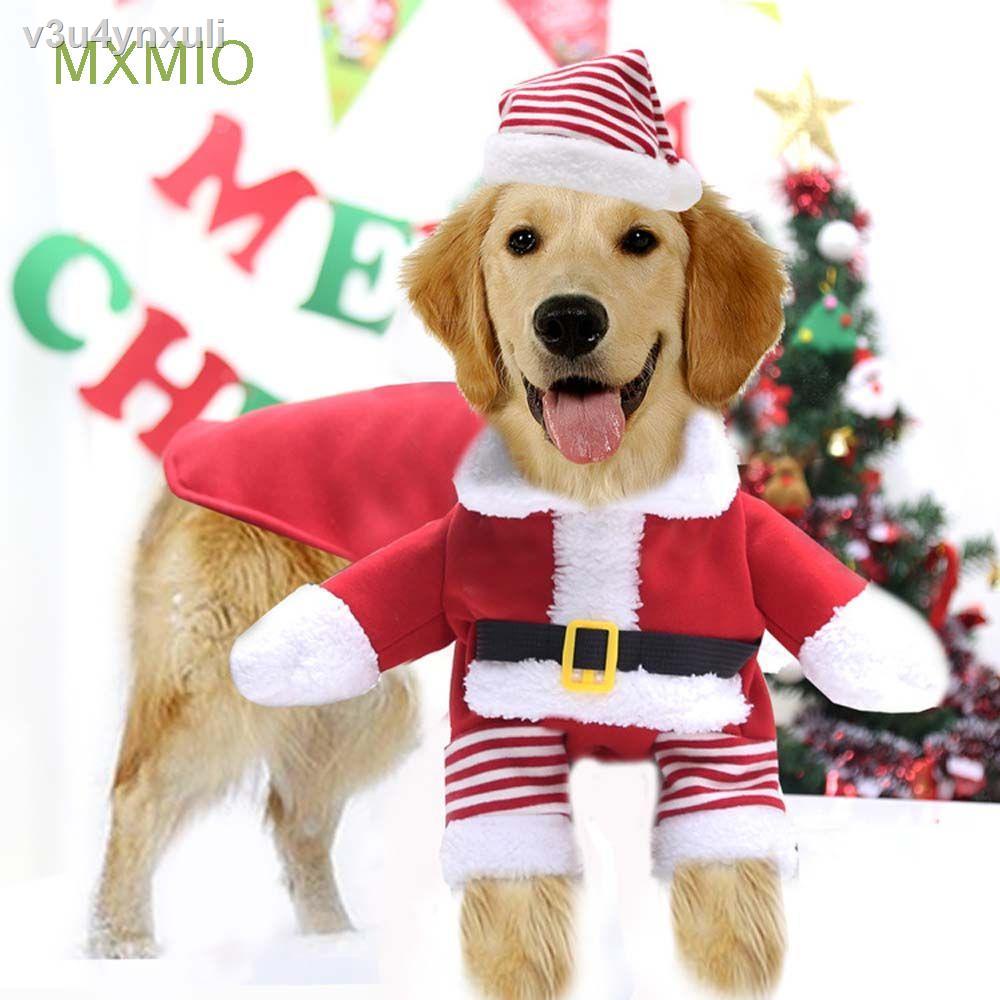 comfotable ราคาพิเศษ | ซื้อออนไลน์ที่ Shopee ส่งฟรี*ทั่วไทย!