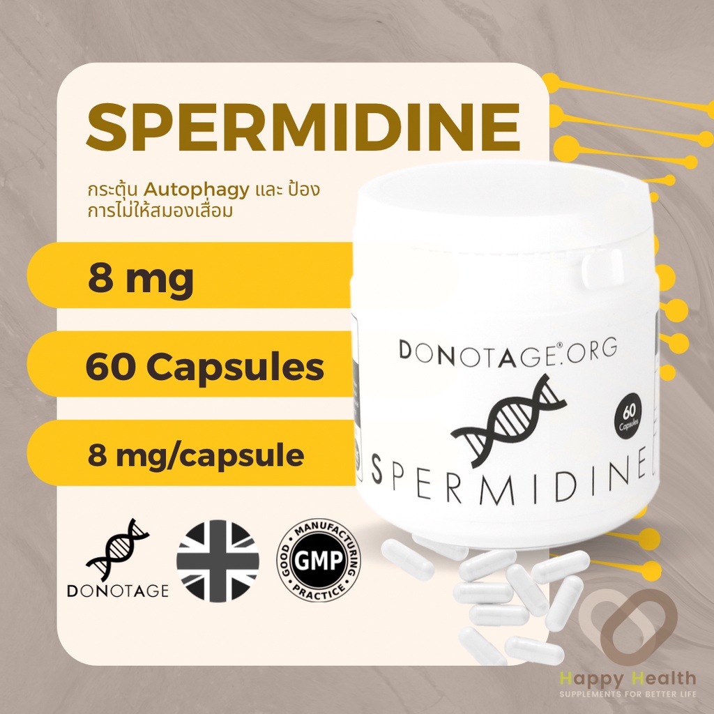 Spermidine (60 แคปซูล) Do Not Age 8 mg. สเปอร์มิดีน กระตุ้น Autophagy ...