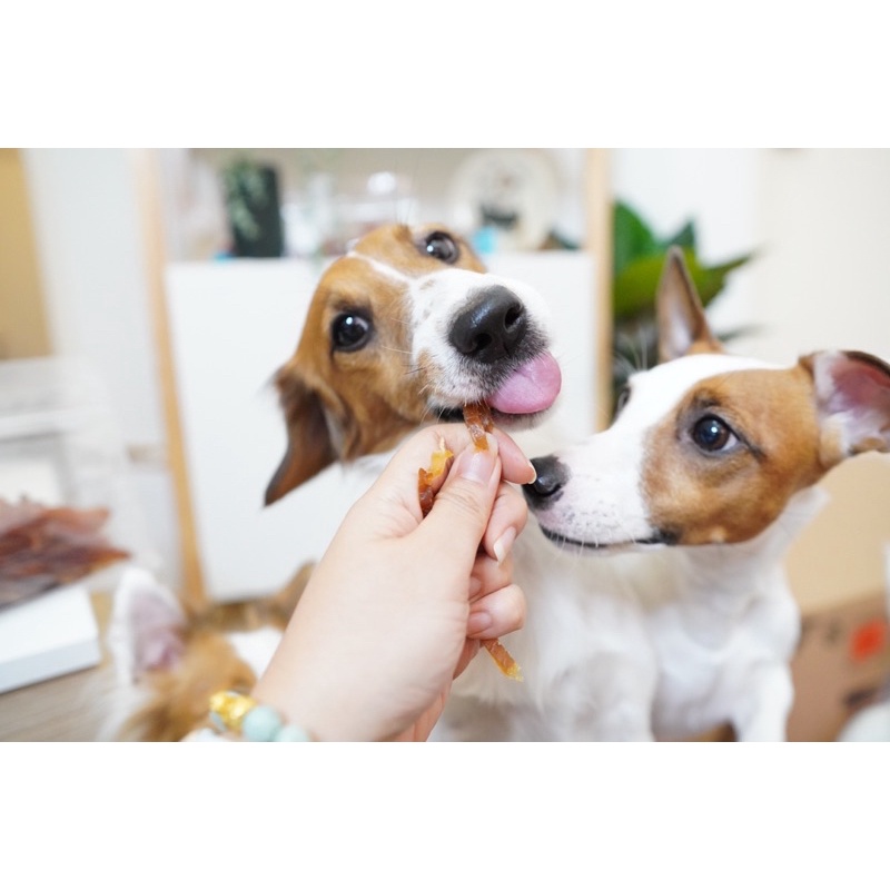 MuMu dOG, ร้านค้าออนไลน์ | Shopee Thailand