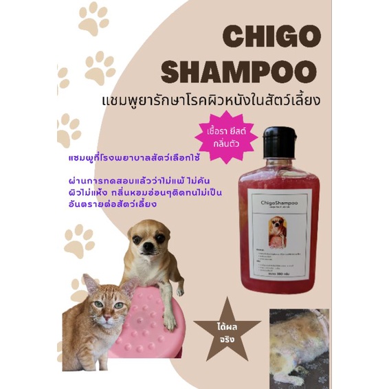 BL shampoo, ร้านค้าออนไลน์ | Shopee Thailand