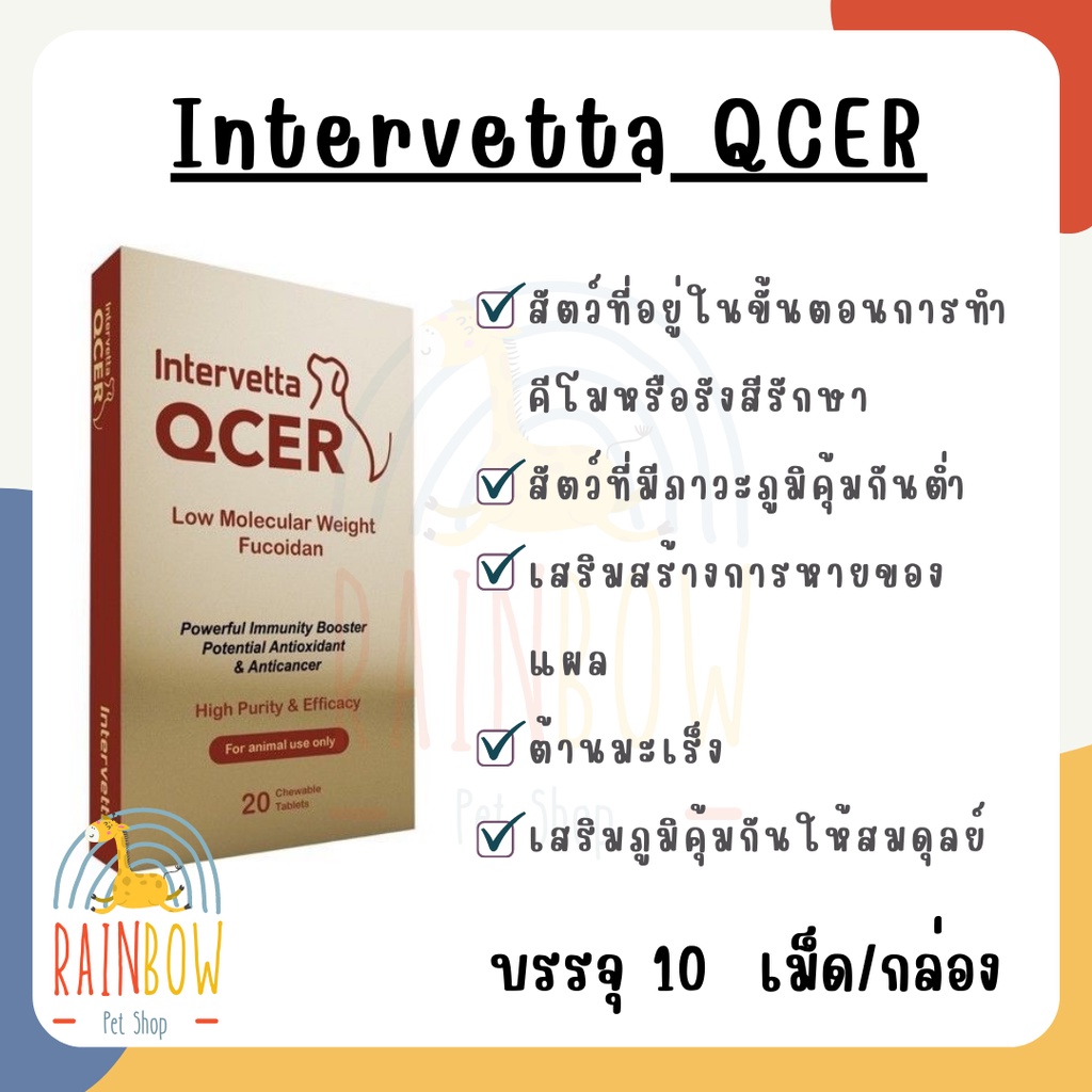 Qcer ถูกที่สุด พร้อมโปรโมชั่น ก.พ. 2023|BigGoเช็คราคาง่ายๆ