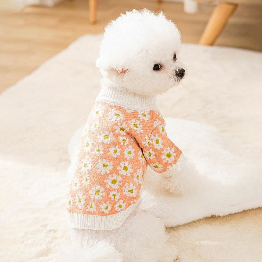 เสื้อไหมพรม ลายดอกเดซี่ เสื้อกันหนาวหมาแมว clawset.bkk - clawset.bkk - ThaiPick