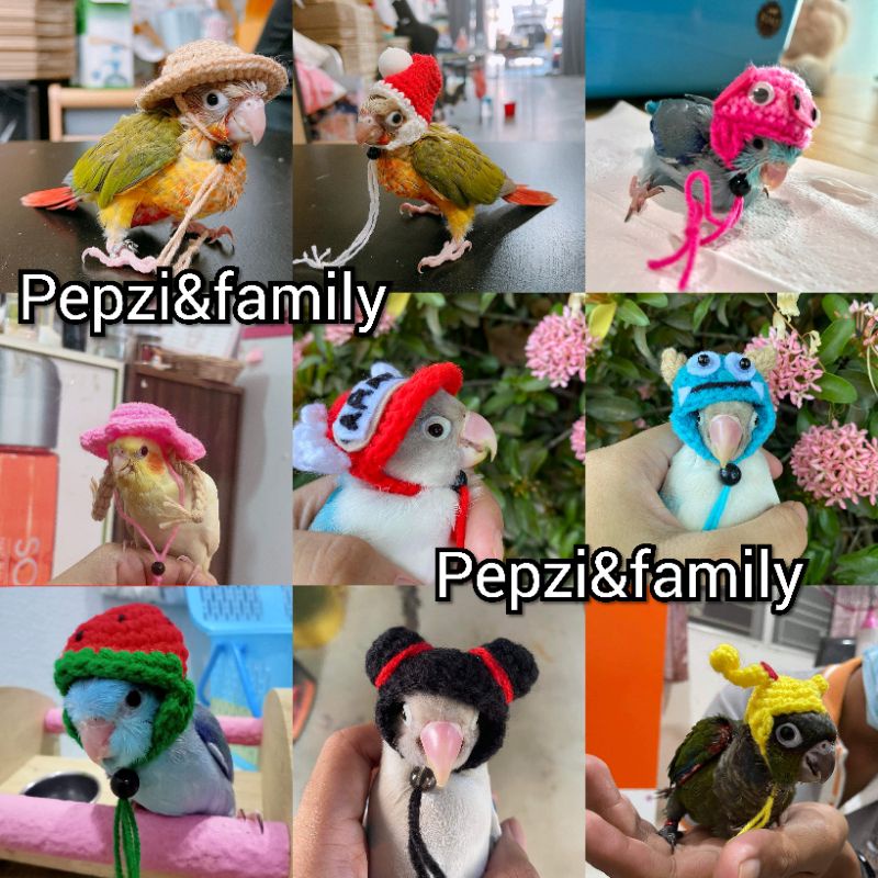 Pepzi&Family ]]] หมวกนกแก้ว ซันคอนัวร์ นกหงส์หยก ฟอพัส8 | Shopee Thailand