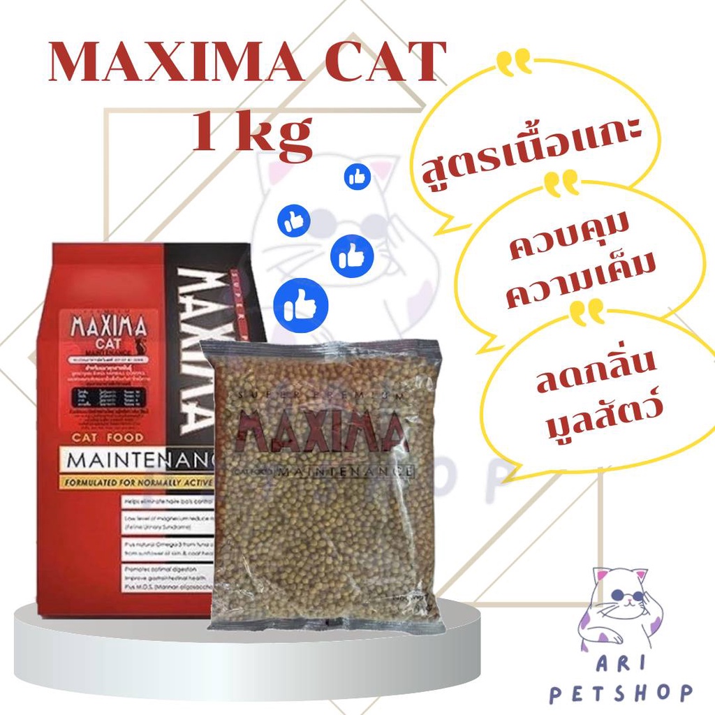 Maxima Cat Food 1 Kg แม็กซิม่า อาหารแมวโตแบบเม็ด สูตรแกะและข้าว บำรุงขน ...